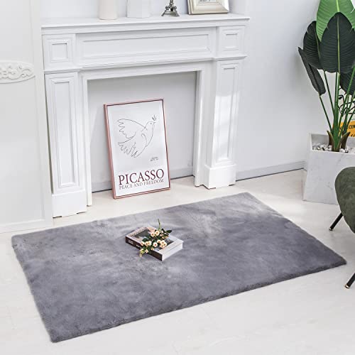 HYSEAS Luxurious Faux Rabbit Fur Rug, 3x5 Feet Rectangle Ultra Soft Fluffy Plush Shaggy Carpet Throw Area Rug for Floor, Sofa, Bedroom, Living Room, Home Decoration, Grey