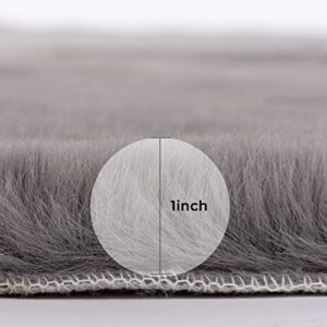 HYSEAS Luxurious Faux Rabbit Fur Rug, 3x5 Feet Rectangle Ultra Soft Fluffy Plush Shaggy Carpet Throw Area Rug for Floor, Sofa, Bedroom, Living Room, Home Decoration, Grey