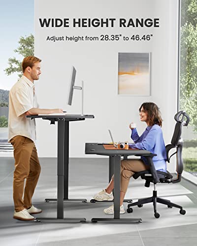 ErGear Height Adjustable Electric Standing Desk, 48 x 24 Inches Sit Stand up Desk, Memory Computer Home Office Desk (Black)