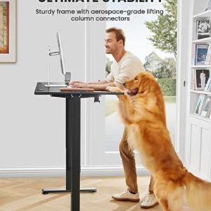 ErGear Height Adjustable Electric Standing Desk, 48 x 24 Inches Sit Stand up Desk, Memory Computer Home Office Desk (Black)