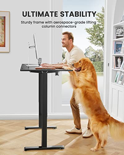 ErGear Height Adjustable Electric Standing Desk, 48 x 24 Inches Sit Stand up Desk, Memory Computer Home Office Desk (Black)