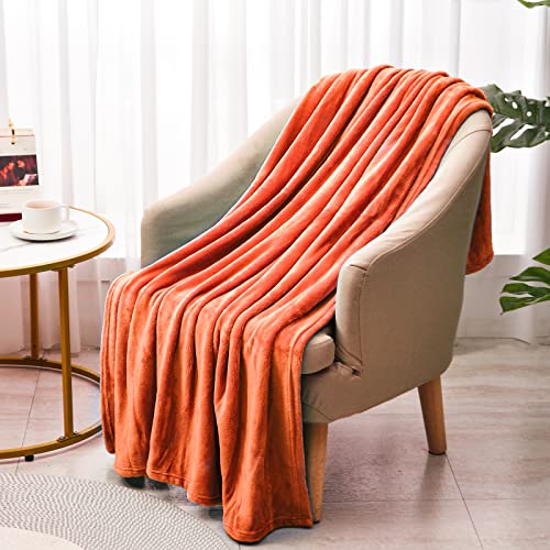 AVAFORT Velvet Plush Home Fleece Throw Blanket for Couch Sofa Bed, Warm Elegant Fuzzy Flannel Blanket for Kid Baby Adults or Pet, All Season (Orange, 50" X 60")