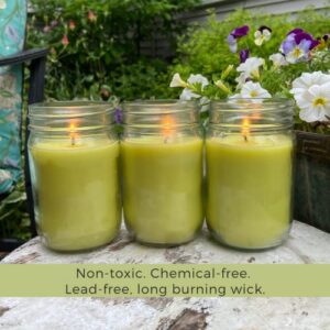 Mosquito Naturals Lemongrass Candles with Essential Oils - Made in USA - (Set of 3) for Patio, Deck, Outdoor or Indoor Use – All Natural, Soy Base Candles, 9 oz Jars with Lid