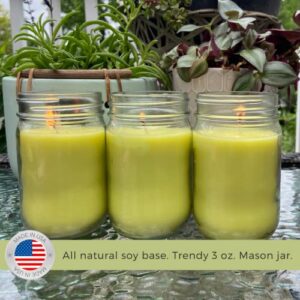 Mosquito Naturals Lemongrass Candles with Essential Oils - Made in USA - (Set of 3) for Patio, Deck, Outdoor or Indoor Use – All Natural, Soy Base Candles, 9 oz Jars with Lid