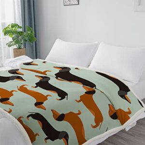 TOPTREE Dachshund Blanket for Dachshund Lovers Fleece Sherpa Dachshund Throw Blanket Print Plush Wiener Dog Blanket Gifts for Kids Teens Men Women Adults (Black and Brown, 60x50 Inches)