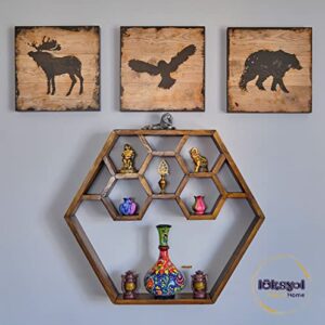 Luksyol Floating Wall Shelves Unique Design Bedroom Shelves, Honeycomb, Hexagon Shelf Wall Mounted, Kitchen Wall Shelves Handmade Wall Shelf for Bedroom from Natural Wood with 3 Cactus Pots