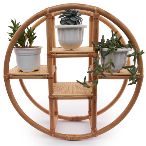 T'Furni Rattan Round and Square Striped Wall Shelf for Living Room Kitchen Wall Decor - Natural Rattan Floating Shelves - Natural Hanging Book - Wall Shelves with Storage