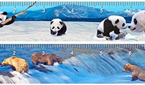 Authentic Collection 2-8" 3D Lenticular Rulers - Grizzly Bears Fishing and Panda Family