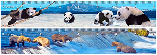 Authentic Collection 2-8" 3D Lenticular Rulers - Grizzly Bears Fishing and Panda Family