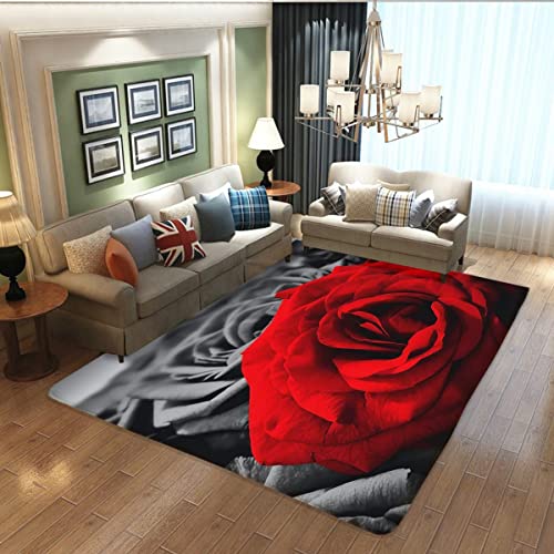 Large Farmhouse Rug Farmhouse Decor ,Romantic Rose Black White red Painting Abstract Mat Area Rugs Home Decor Non-Slip Crystal Floor Polyester Mat 19.7x31.5inch, 19.7x31.5inch(50x80cm)