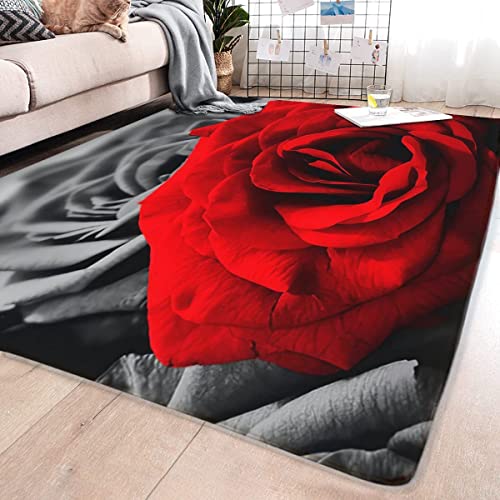 Large Farmhouse Rug Farmhouse Decor ,Romantic Rose Black White red Painting Abstract Mat Area Rugs Home Decor Non-Slip Crystal Floor Polyester Mat 19.7x31.5inch, 19.7x31.5inch(50x80cm)