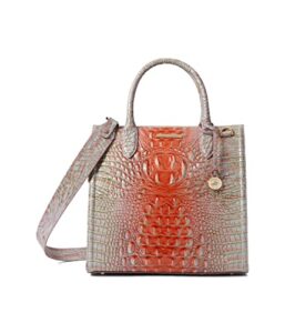 brahmin ombre melbourne caroline satchel flirty one size