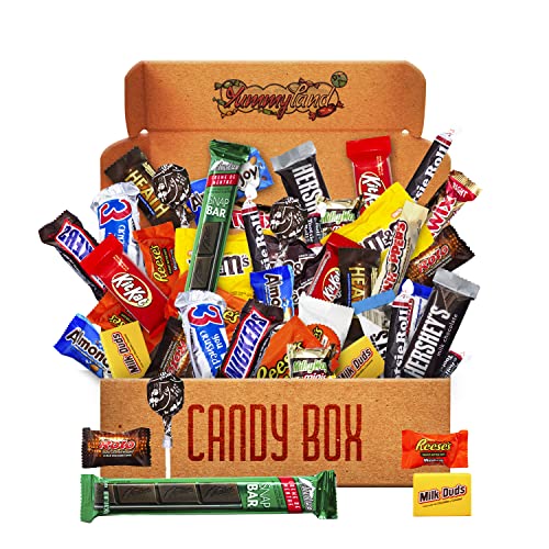 HERSHEY'S Assorted Bulk Chocolate Mix 3 Pounds - KitKat, Almond Joy, Milki Way, Tootsie, 3 Musketeers & More. Candy Variety Pack Fun Size, Individually Wrapped Assorted Milk Chocolate Bars. Candy Gift Box for Easter, Birthday Party, College Students