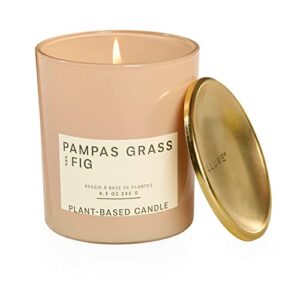 ILLUME Verde Lidded Jar Candle, Fig & Pampas Grass