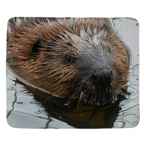 cafepress beaver swimming sherpa fleece throw blanket