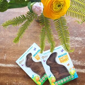 Vegan, Gluten Free Jake The Milkless Chocolate Easter Bunny | Allergy Friendly | Dairy Free, Nut Free, Peanut Free, Soy Free, Gluten Free | No Whey Foods