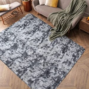 evizen Area Rug 8x10 for Living Room Bedroom, Rug Fluffy Super Soft Shaggy Rugs Washable Durable Living Room Rugs, Plush Rug for Room Decor, Drak Grey