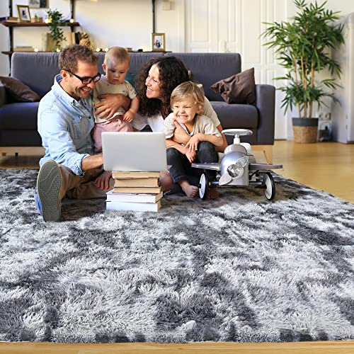 evizen Area Rug 8x10 for Living Room Bedroom, Rug Fluffy Super Soft Shaggy Rugs Washable Durable Living Room Rugs, Plush Rug for Room Decor, Drak Grey