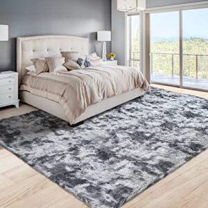 evizen Area Rug 8x10 for Living Room Bedroom, Rug Fluffy Super Soft Shaggy Rugs Washable Durable Living Room Rugs, Plush Rug for Room Decor, Drak Grey