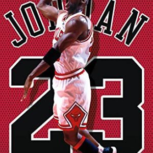 Trends International Michael Jordan - Jersey Wall Poster, 22.375" x 34", Unframed Version