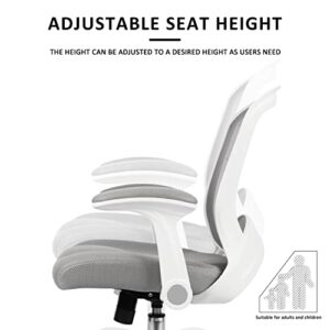 HYLONE Office Chair, White Computer Desk Chair, Mid-Back Task Chair Swivel, Flip-up Arms, Lumbar Support, Adjustable Height, Grey Mesh