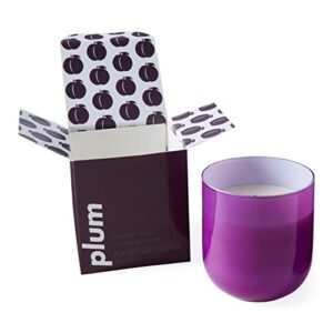 jonathan adler pop plum scented candle, purple, (31576)