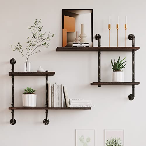 THRONKENGER Industrial Pipe Shelving,Rustic Floating Shelves with Wood Plank,Metal Pipe Wall Shelf Industrial Shelves for Wall, Bedroom, Living Room, Bathroom (A)