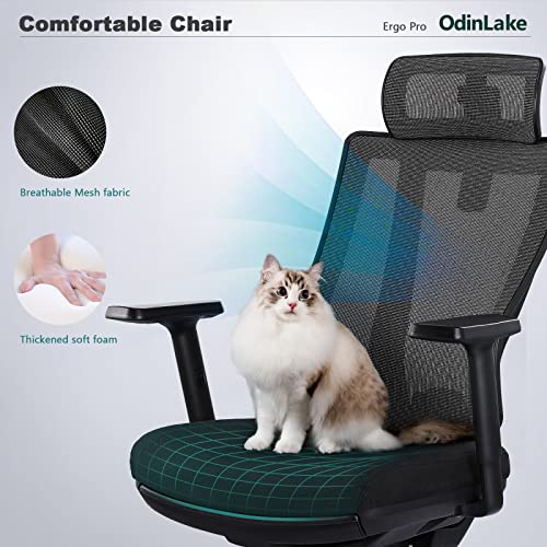 OdinLake Ergonomic Office Chair Mesh - Seat Depth Adjustable Home Office Desk Chairs High Back with Lumbar Support - Computer Swivel Task Chair with Footrest, Headrest, PU Wheels (Model: Ergo Pro 633)