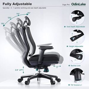 OdinLake Ergonomic Office Chair Mesh - Seat Depth Adjustable Home Office Desk Chairs High Back with Lumbar Support - Computer Swivel Task Chair with Footrest, Headrest, PU Wheels (Model: Ergo Pro 633)