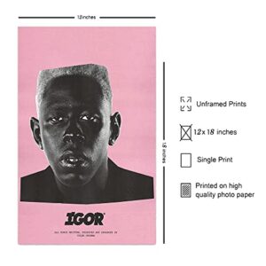 Tyler, The Creator Album - Igor Wall Decor Poster 12x18"