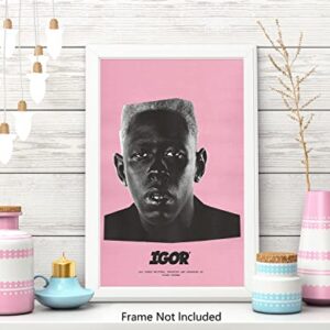 Tyler, The Creator Album - Igor Wall Decor Poster 12x18"