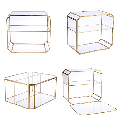 ELLDOO 2 Tier Clear Glass Storage Box, Gold Jewelry Makeup Organizer Box, Decorative Tower Box Display Case for Collectibles Trinket Perfume Lipstick Figure Toy