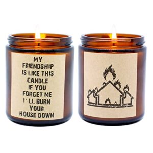 funny my friendship is like this candle gift to friends, soy wax lavender, eucalyptus scented candles to best friends