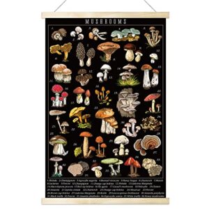 vintage black mushroom poster fungus wall art prints colorful rustic style of mushroom wall hanging illustrative reference chart poster for living room office classroom bedroom playroom dining room