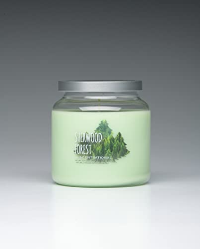 Scentsational Candles | Sherwood Forest Jar Candle | Luxury Scented Soy Jar Candle | Hand Poured in The USA | Highly Scented & Long Lasting | 19 Oz.