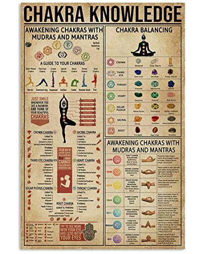 HOUVSSEN Chakra Knowledge Poster Multi Wall Décor Art Gift for Yogaer Chart Metal Tin Sign School Signs 8x12 Inch