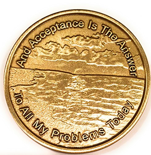 Bulk Roll of 25 Acceptance is The Answer Beach Sunrise Bronze AA Medallion Chip Page 449 417