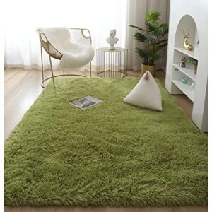 Soft Plush Shaggy Area Rug, Cozy Fluffy Carpet Rugs for Kids Girls Bedroom Decor and Living Room Nursery Dorm (4x6 Feet, Green)