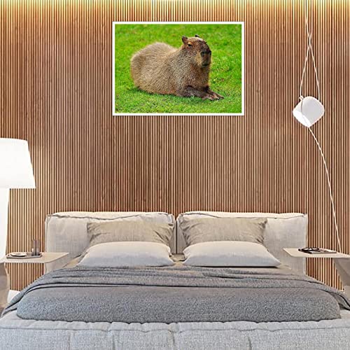 Ddfghei Capybara In The Grass Cute Animal Poster Print Art Picture 9231 Canvas Prints Poster Wall Art For Home Office Decorations Unframed 18"x12"