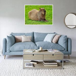 Ddfghei Capybara In The Grass Cute Animal Poster Print Art Picture 9231 Canvas Prints Poster Wall Art For Home Office Decorations Unframed 18"x12"