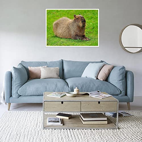 Ddfghei Capybara In The Grass Cute Animal Poster Print Art Picture 9231 Canvas Prints Poster Wall Art For Home Office Decorations Unframed 18"x12"