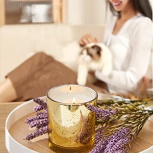 Candles for Lavender Home Scented: Premium Jar Candles Aromatherapy Lavender Eucalyptus, Scented Candles for Women to Relieve Stress, Soy Candles AS Gifts All Natural (6 oz 36 Hour Burn)