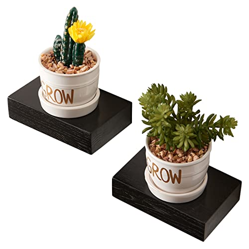 TRWISWDC Small Floating Shelves 5.5 inches - Set of 2 Natural Oak Wall Mounted Wood Shelves Mini Display Wall Shelves for Living Room Bedroom Bathroom Decor Plant Shelf, Black