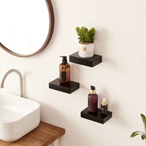 TRWISWDC Small Floating Shelves 5.5 inches - Set of 2 Natural Oak Wall Mounted Wood Shelves Mini Display Wall Shelves for Living Room Bedroom Bathroom Decor Plant Shelf, Black