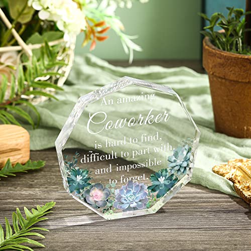 Yulejo Going Away Gifts for Coworkers Women Retirement Plaque Goodbye Best Boss Colleague Acrylic Coworker Leaving Keepsake Paperweight Men Healthcare Worker(Nine Side)