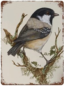 metal vintage tin sign decor chickadee bird tin sign chickadee sign bird tin sign wildlife wall decor wall poster plaque for home kitchen bar pub club coffee shop decor 8×12 inch