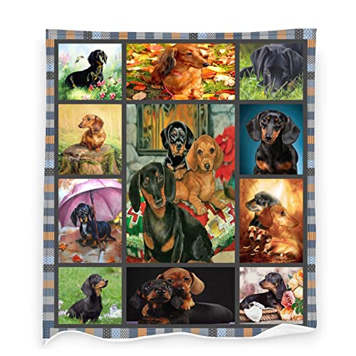 Dachshund Dog Pattern Blanket Super Soft and Warm Flannel Throw Blankets for Couch Sofa Dachshund Gifts for Kids and Adults