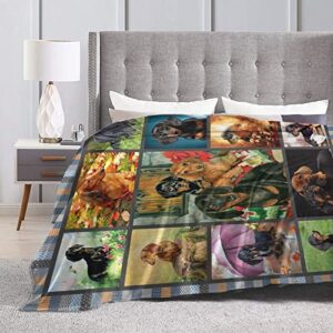 Dachshund Dog Pattern Blanket Super Soft and Warm Flannel Throw Blankets for Couch Sofa Dachshund Gifts for Kids and Adults