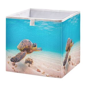 alaza collapsible storage cubes organizer,hawaiian green sea turtle under ocean storage containers closet shelf organizer with handles for home office