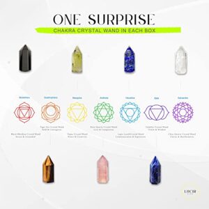 Lucir Store Healing Chakra Crystal Candles Set with a Surprise Chakra Crystal Wand | Set of 7 x Scented Candles with Crystals, Surprise Crystal Wand | E-Book Included